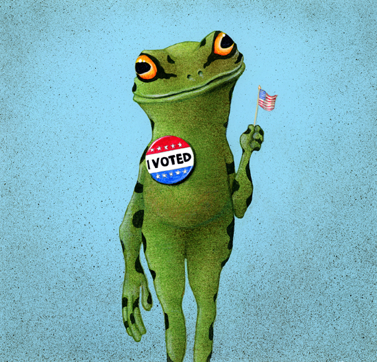 Voter Frog, Will Bullas Art | Gallery 601